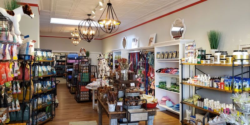 Ciao Bow Wow Store - Visit Winchester MA