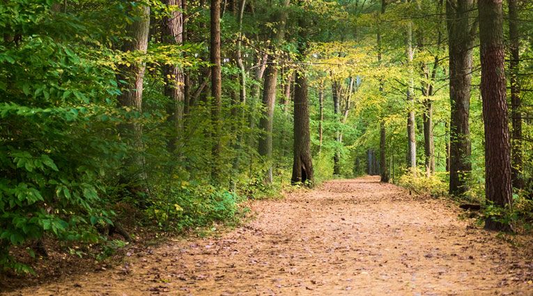 Middlesex Fells Reservation - Visit Winchester MA